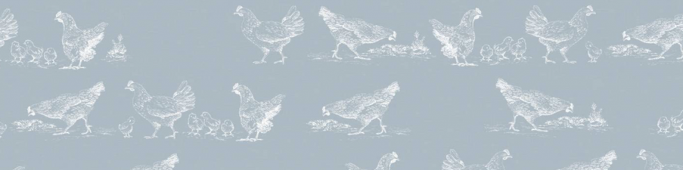 Duck Egg Tablecloths | Quality Tablecloths | Tablecloth Shop